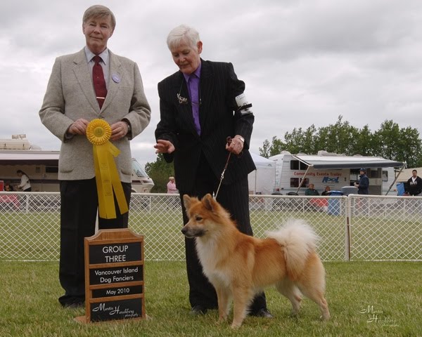 Canadian Icelandic Sheepdog Club